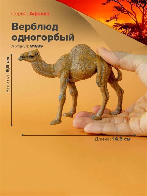 Фигурка животного Derri Animals Верблюд одногорбый, для детей, игрушка ...