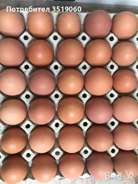 Домашни яйца в Домашни продукти в гр. Велико Търново - ID38343509 ...