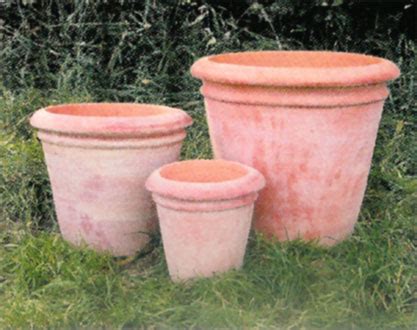 Terra Cotta - Reinhardt Gartenbau - Reinhardt Gartenbau