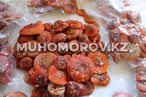 Купить Шляпки Красного Мухомора в Казахстане