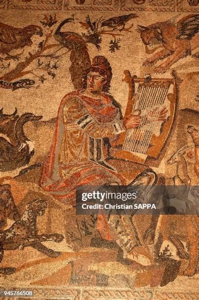 285 Orphee Stock Photos, High-Res Pictures, and Images - Getty Images