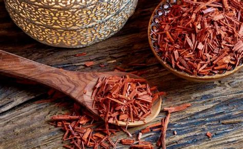 Woody Perfumes - Understanding The Allure of Earthy Scents