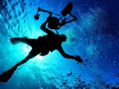 Diving Shark - Diving Shark
