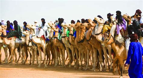 The Desert Nomads Gather