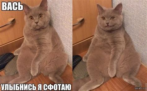 Вась))) | Пикабу