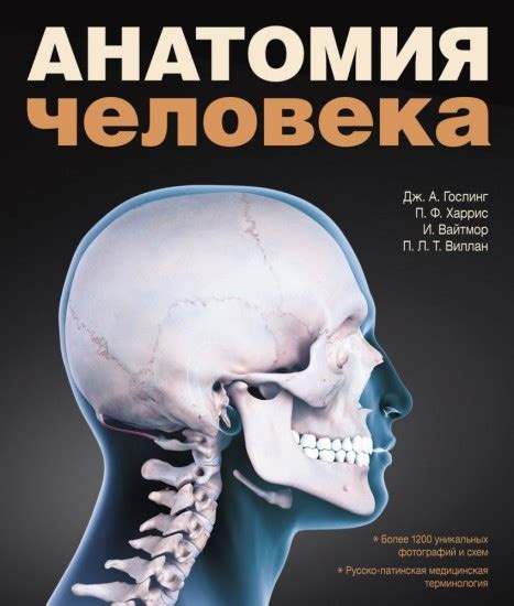 Анатомия Человека Боянович - medicineinstruction