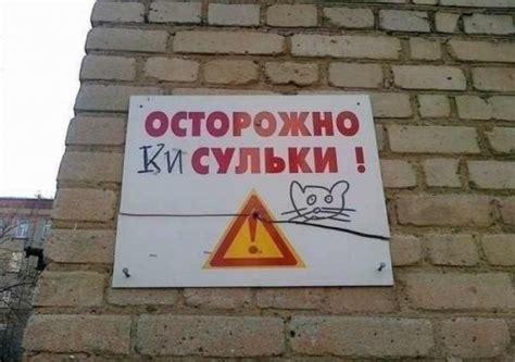Прикольные надписи (29 шт)