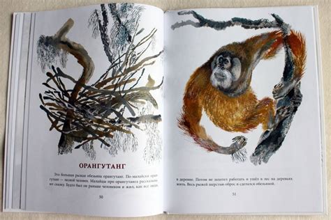 Книга: Моя первая зоология - Евгений Чарушин. Купить книгу, читать ...