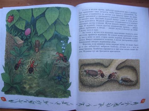 Книга: Кто в муравейнике живет: книга для чтения детям - Александр ...