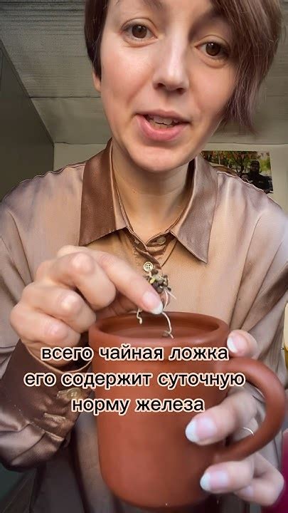 Как получать железо из еды в пост, железо из растительного источника ...