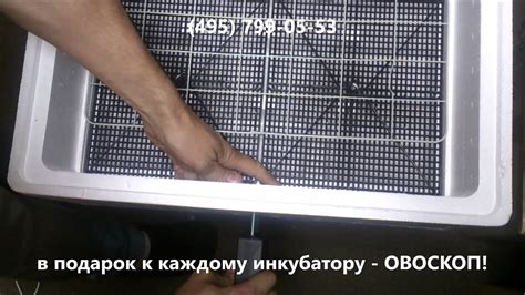 Обзор инкубатора Идеальная Наседка - YouTube