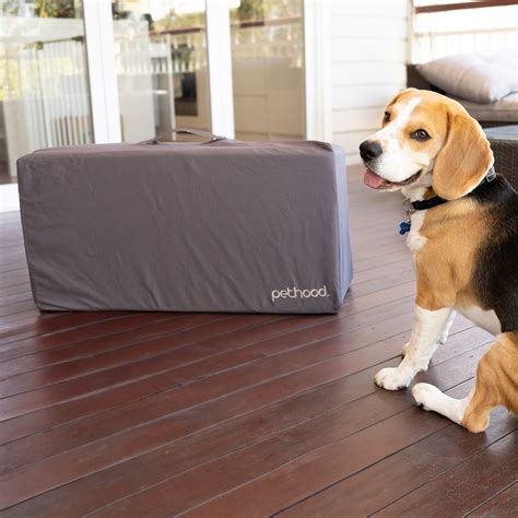 Pet Toys | Exquisite Pet Toys for Discerning Pets | Pethood