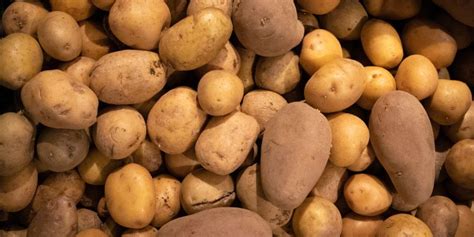 Across Europe Fresh Potato Prices are High and Constant – Potato Business