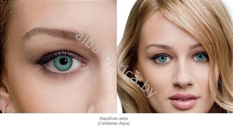 Freshlook Caribbean Aqua | atelier-yuwa.ciao.jp