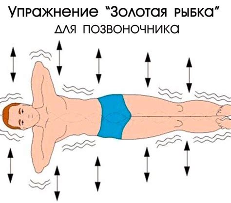 Упражнение Золотая рыбка для позвоночника / Здоровье / Разделы