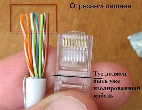 Тройник для интернета на 3 компьютера