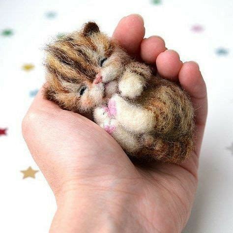 Pin on Кошачья "милота" | Cute baby animals, Baby animals pictures ...