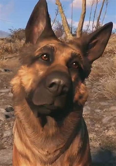 Fallout 4: GOTY Edition | Hobby Consolas