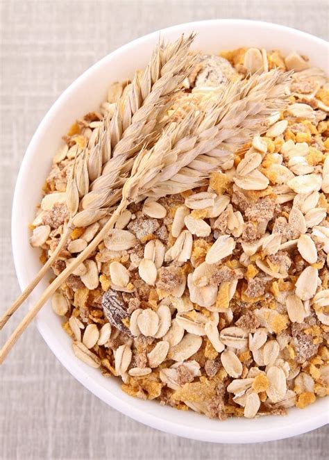 Oat flakes stock image. Image of cereals, gourmet, agriculture - 24620263