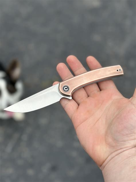 Civivi Mini Asticus : r/knives