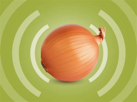 Tor Browser и анонимность: что нужно знать | Блог Касперского