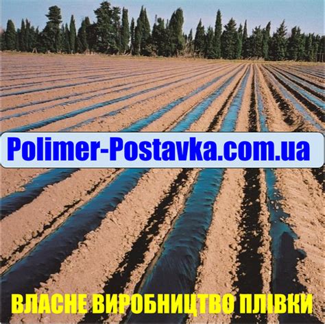 Агроплёнка для мульчирования ЧЁРНАЯ на 24 мес. ПОЛОТНО 1200мм*40мкм*1км ...