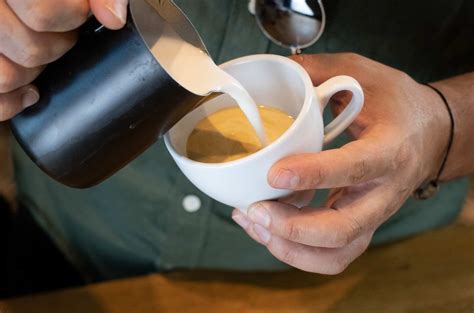 Barista