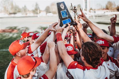 Madison Baseball wins District Championship in a thriller! - Explore ...