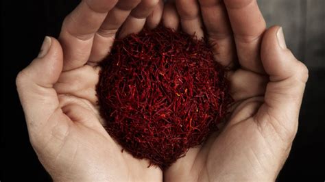 The Rich History of Saffron - House of Saffron