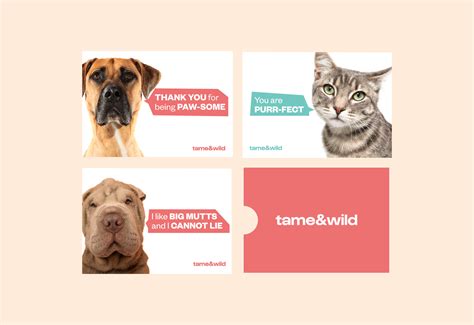 Tame & Wild by The Good Studio | Sunshine Coast Brand & Marketing