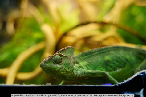 Zorkiy BK 1: 2,8 F = 3.5cm P for Kiev cameras. Review from Rodion ...