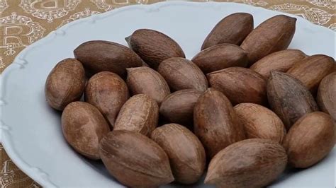 Ընկուզենի Պեկան_Կարիա Орех Пекан_Кария Walnut Pecan_Caria Ořech Pekan ...