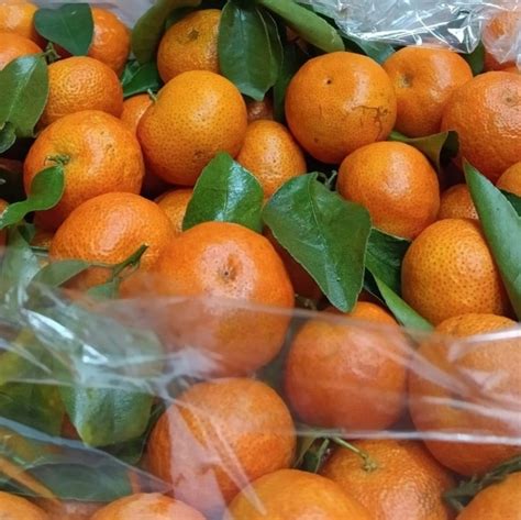 ПРЯМО С ВЕТКИ ! Самые ВКУСНЫЕ МАНДАРИНЫ БЕЙБИ . Так же не забываем про ...