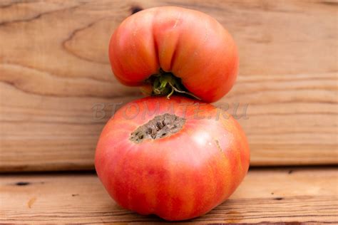 БАБА НАДЯ — BTomate