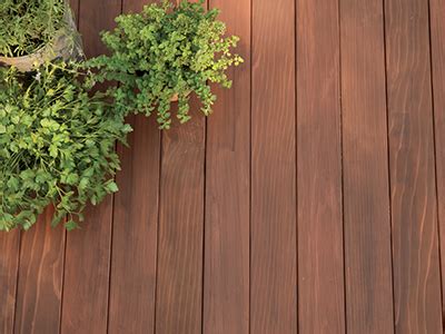 Цвета пропитки Arborcoat от Benjamin Moore на разных породах древесины