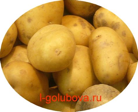 ОГОРОД | ДОМ, САД, ОГОРОД, КРАСИВЕЙШИЙ ЦВЕТНИК