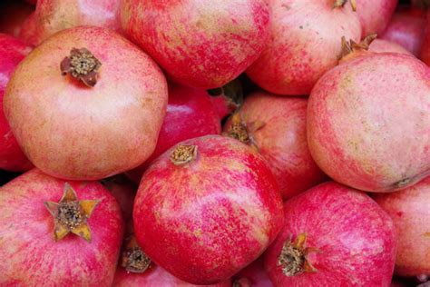 Grenadier 이미지 – 찾아보기 1,653 스톡 사진, 벡터 및 비디오 | Adobe Stock
