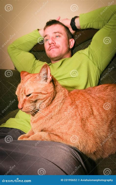 Cat and Man Relaxing stock photo. Image of lovable, affinity - 23195652