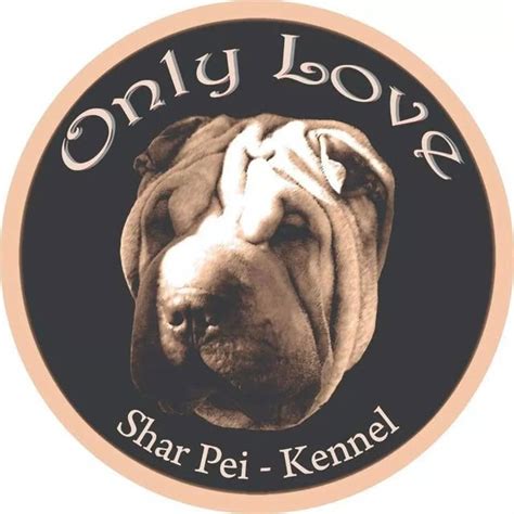 Only Love Shar-Pei (@onlylovekennel) • Threads, Say more