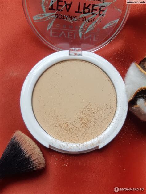 Матирующая антибактериальная пудра для лица Eveline Botanic Expert Tea ...