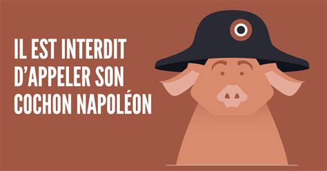 Top 15 des lois insolites en France