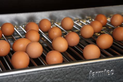 Farmtec BV posted on LinkedIn