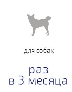 Празител плюс таблетки для собак и щенков средних и крупных пород | НПК ...