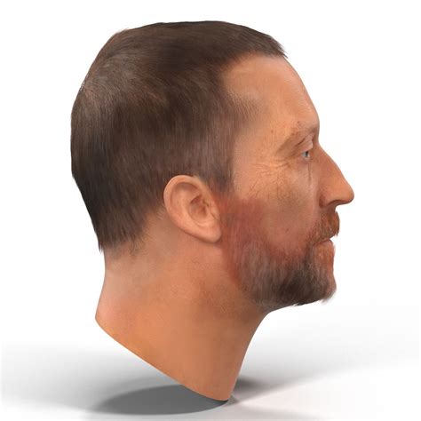 Мужская голова с волосами 2 3D модель 3D Модель $29 - .max - Free3D
