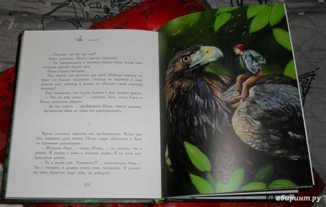 Книга: Чудесное путешествие Нильса с дикими гусями - Сельма Лагерлеф ...