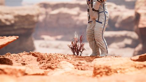 Roman Besarab - Adventure space