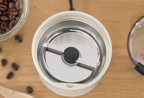 Młynek do kawy Bosch TSM6A017C - Opinie i ceny na Ceneo.pl