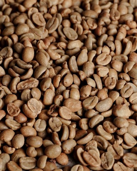 Arabica (Natural) - PT. Multidaya Inovasi Nusantara
