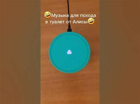 🤣Музыка для похода в туалет от Алисы 🤣 #shorts #алиса #ржака #приколы # ...