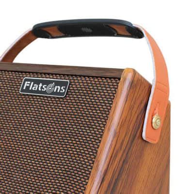 Flatsons Crush15 15W Acoustic Guitar Amplifier Amp BT | Reverb